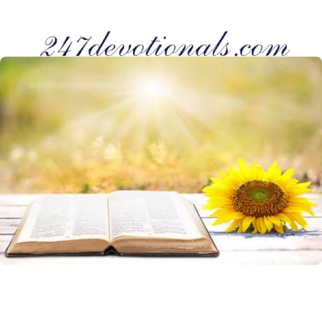Our Daily Bread Devotional — No Wasted Pain, 6 June 2025. - Daily ...